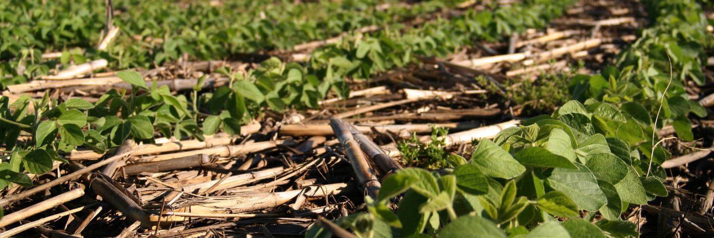 Soil Cover - Nebraska Soil Health